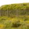 OO Gauge Model Fences | Scale Model Fences | MDF Walls | WWScenics