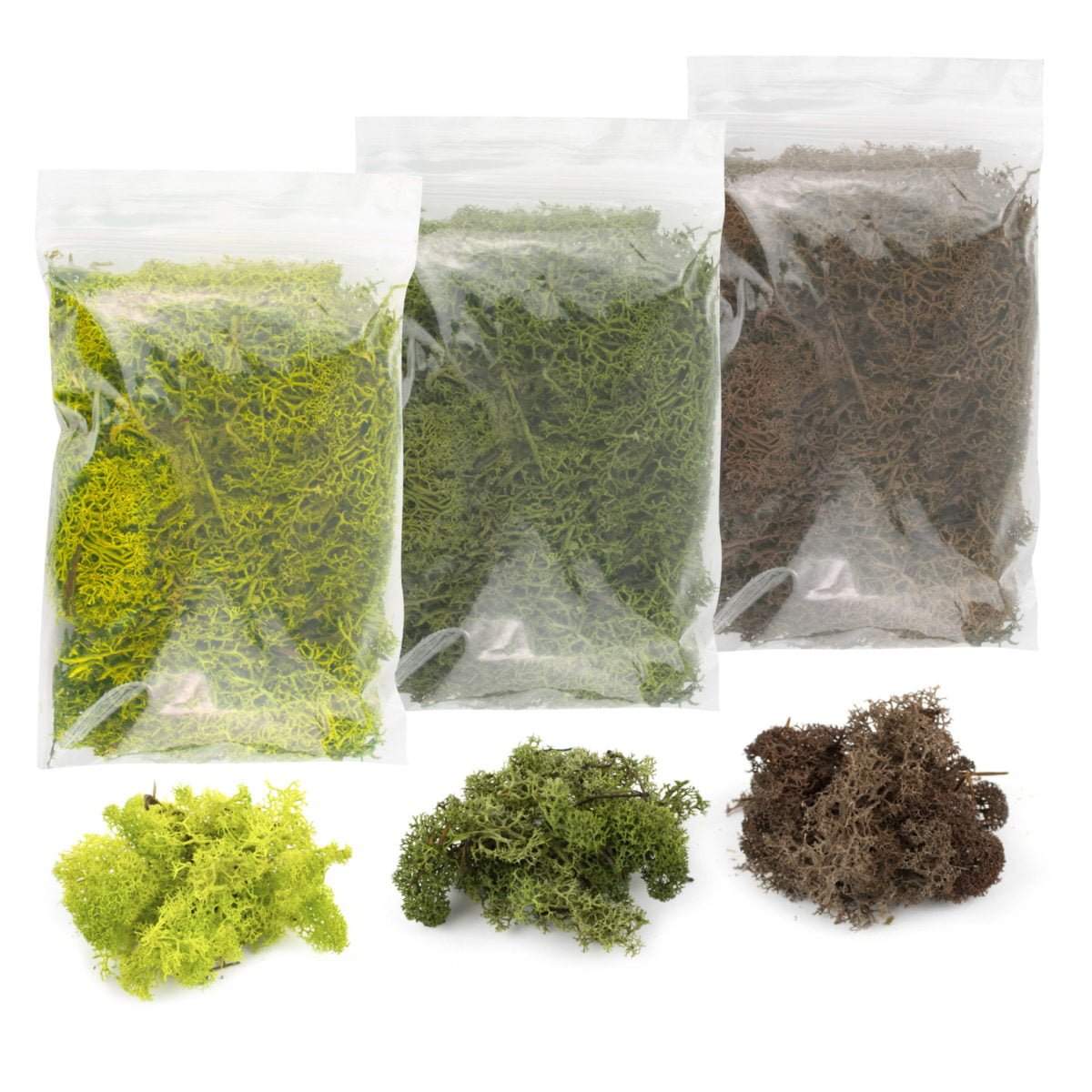 Lichen Multi-Packs (Choose Colour and Size) | Scale Modelling