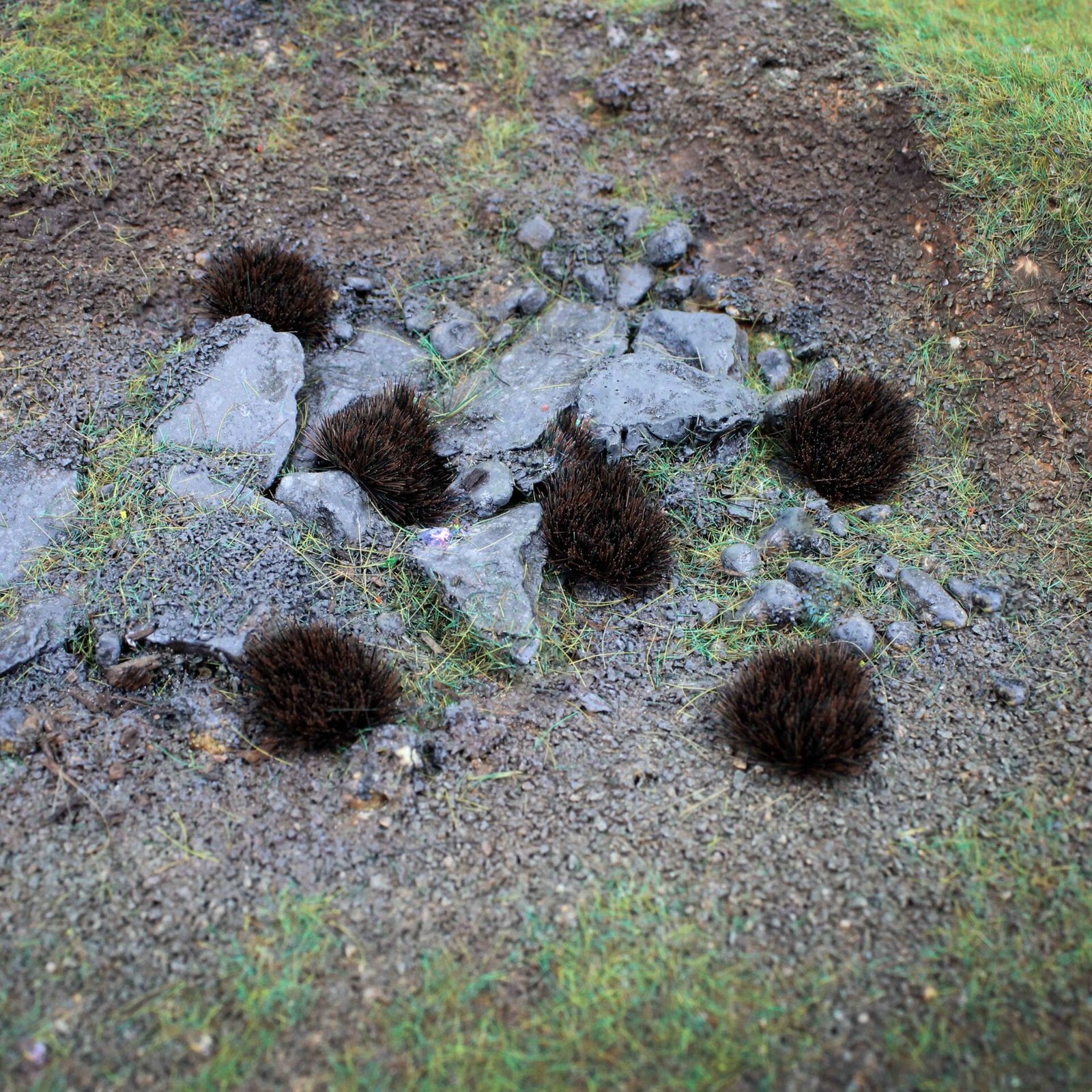 Scorched Self-Adhesive Static Grass Tufts x 100 | WWScenics