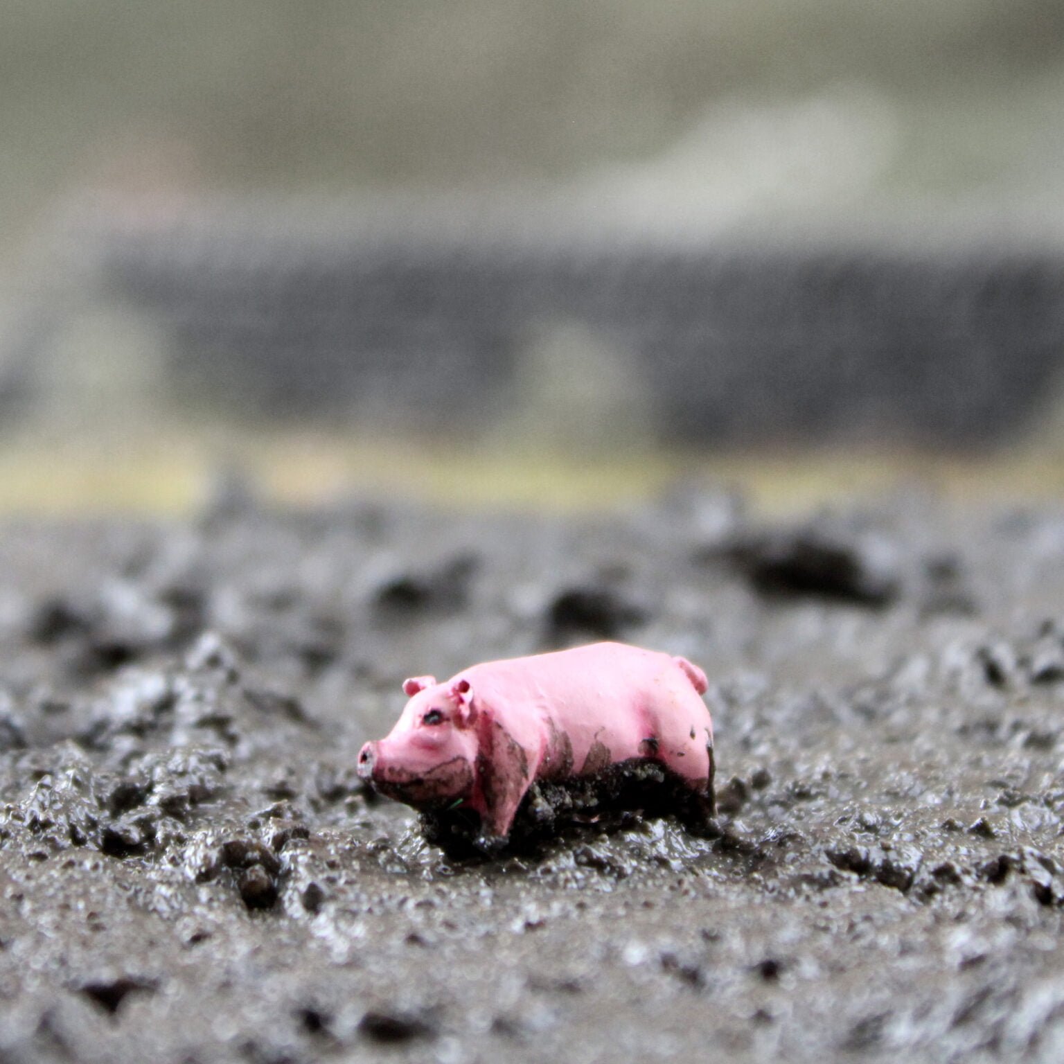 OO Gauge Pigs & Piglets x 16 | WWScenics