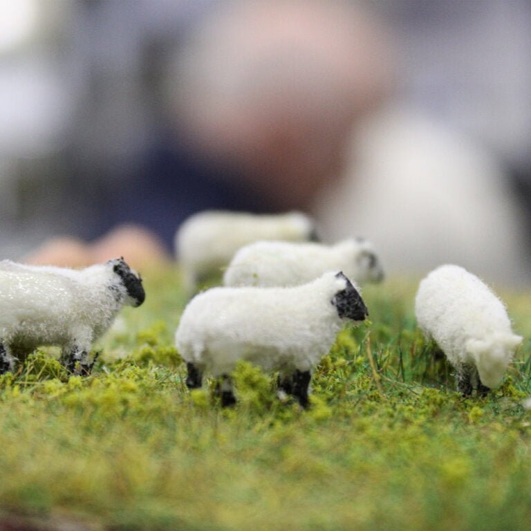 OO Gauge Sheep Flocking Kit – WWScenics