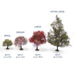 Handcrafted Realistic Model Trees | for Model Rail, Dioramas and Scale ...