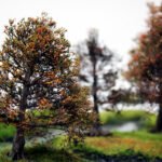 Handcrafted Realistic Model Trees | for Model Rail, Dioramas and Scale ...